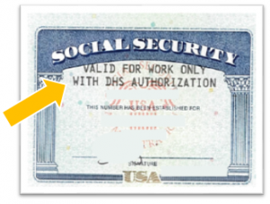 Human Resources Software | Customized HR Solutions