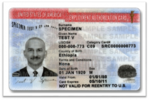 Human Resources Software | Customized HR Solutions